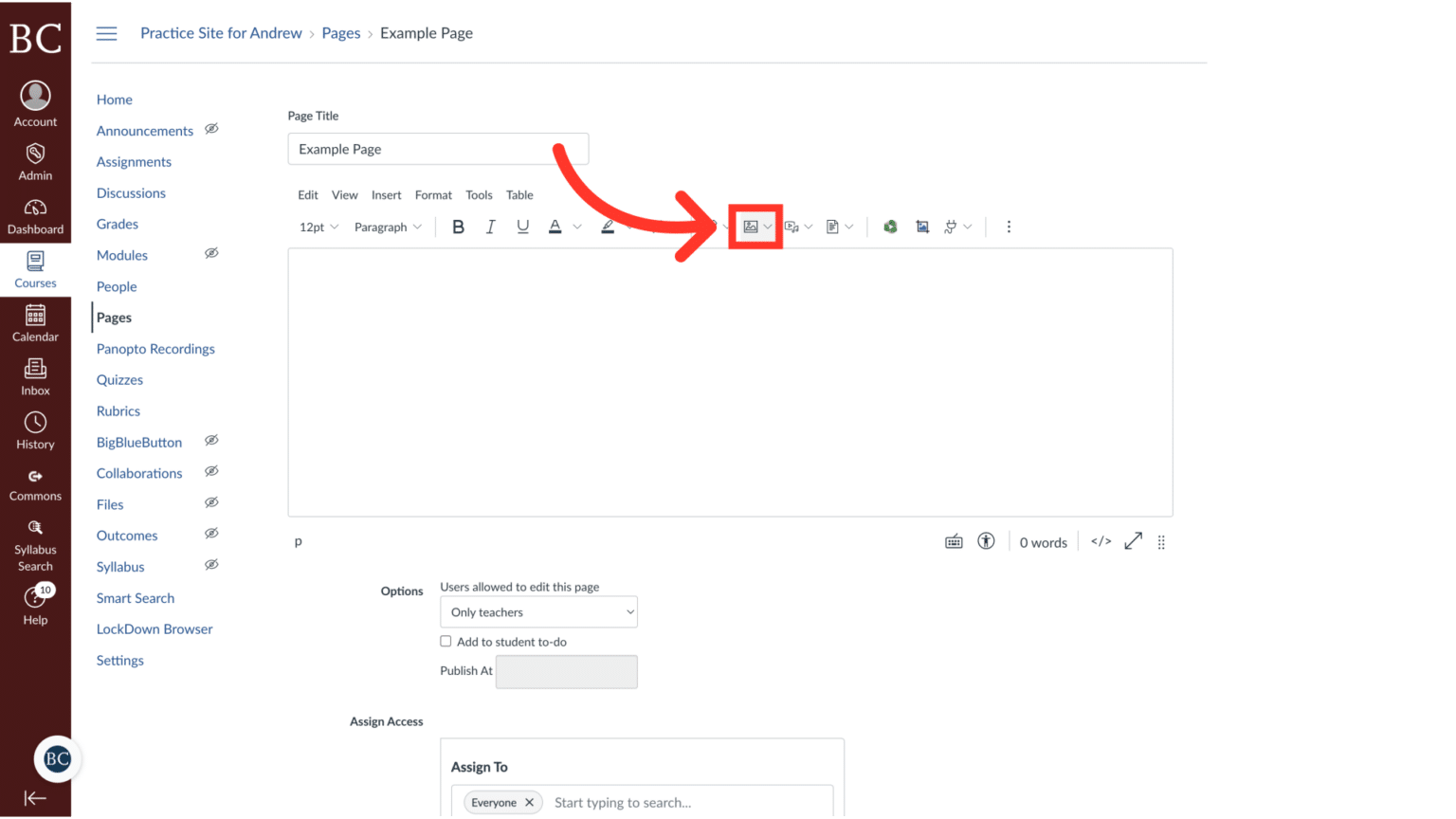 Adding Images with the Canvas Rich Content Editor – Digital Learning ...