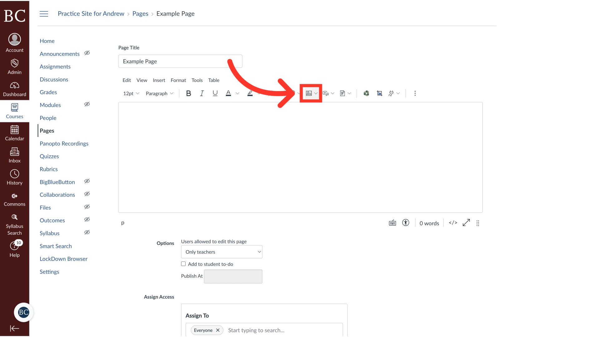 Adding Images with the Canvas Rich Content Editor – Digital Learning ...