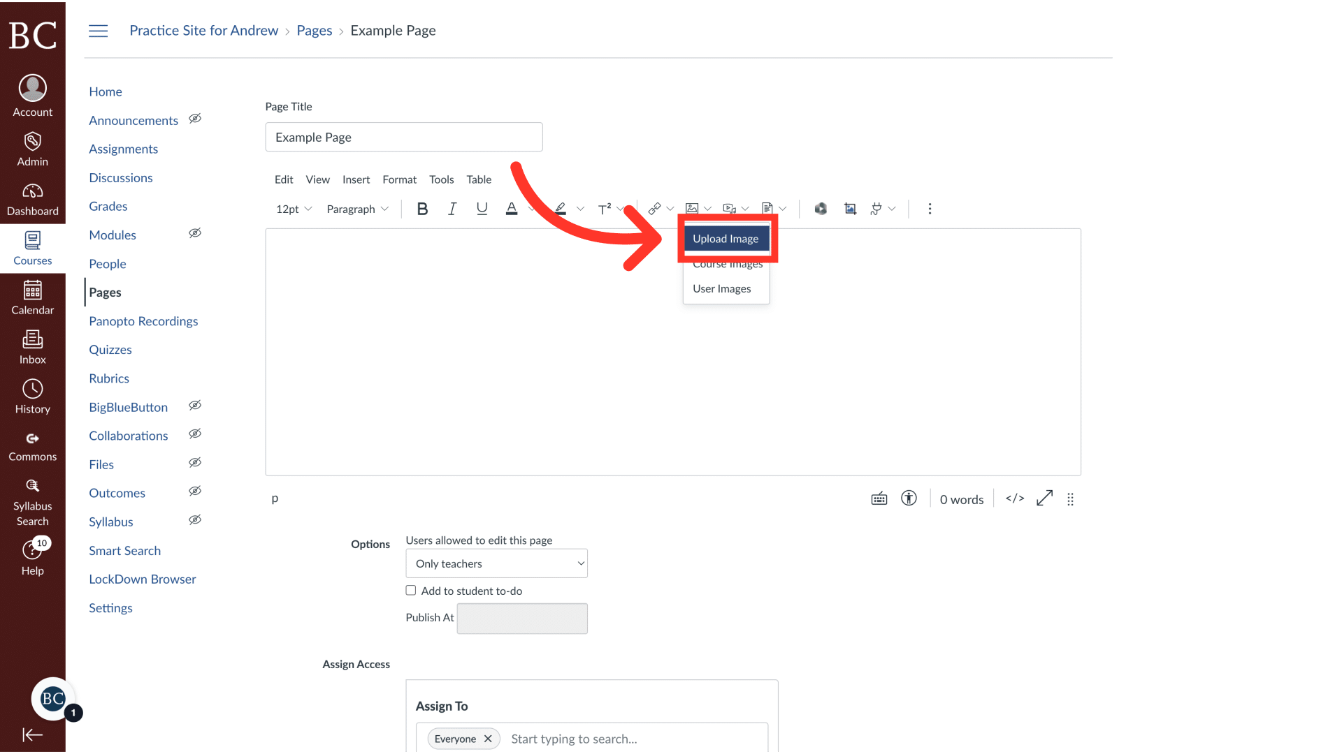Adding Images with the Canvas Rich Content Editor – Digital Learning Design Toolkit