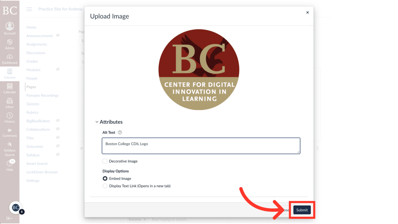 Adding Images with the Canvas Rich Content Editor – Digital Learning ...