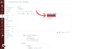 Adding Videos with the Canvas Rich Content Editor – Digital Learning Design Toolkit
