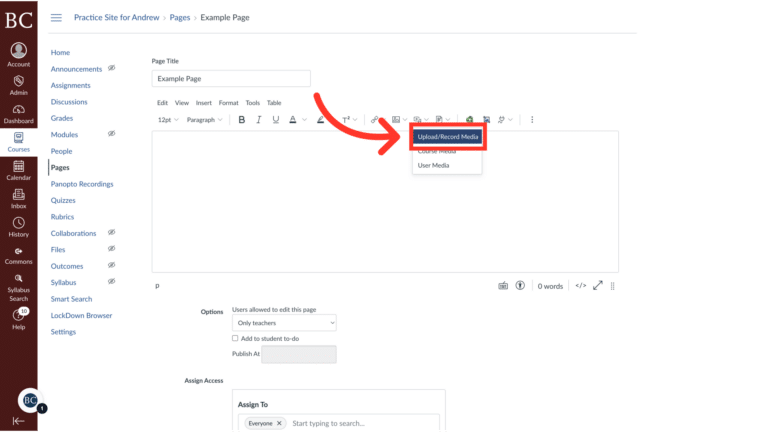 Adding Videos with the Canvas Rich Content Editor – Digital Learning Design Toolkit