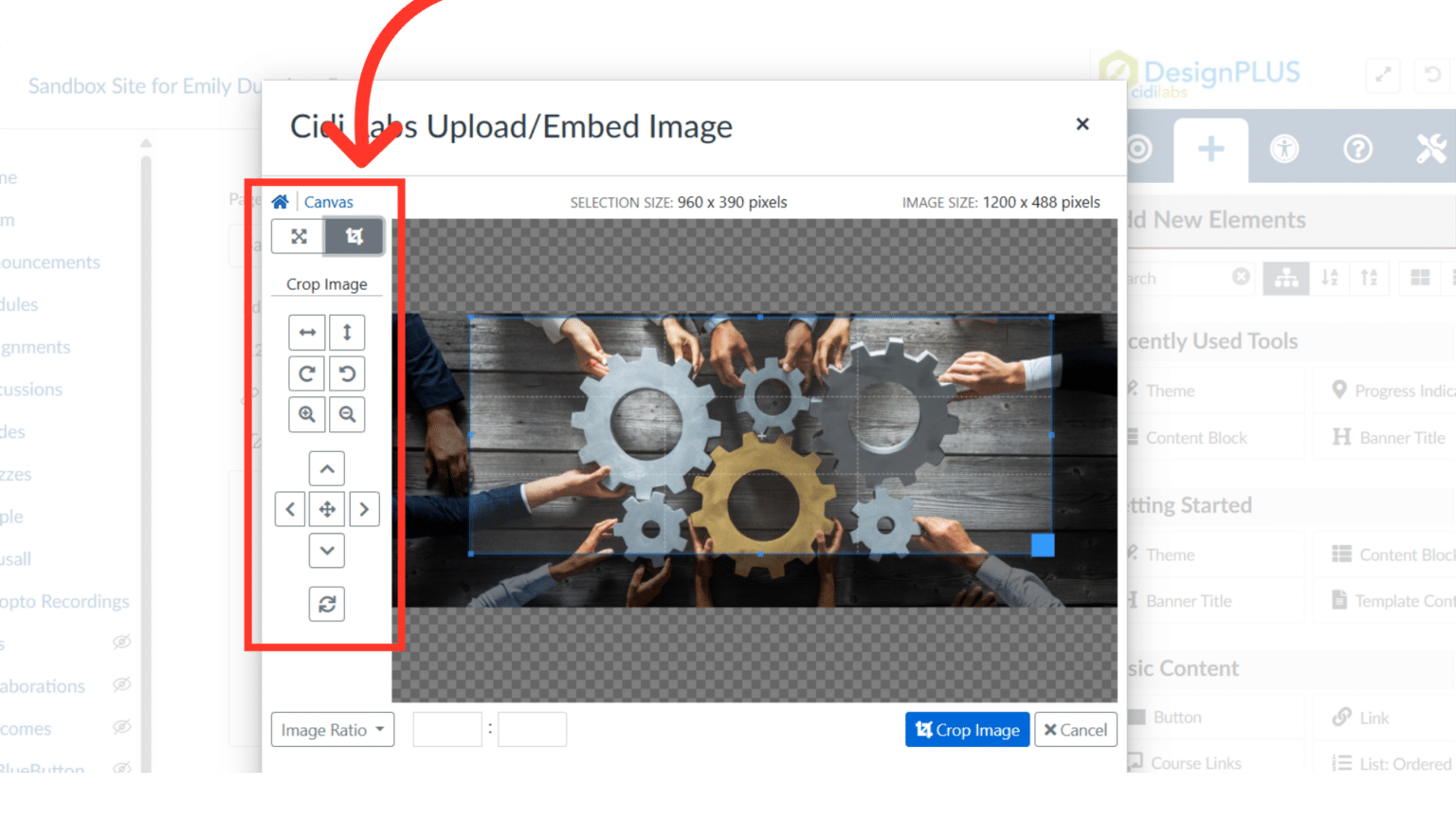 Advanced Image Editing in Canvas – Digital Learning Design Toolkit